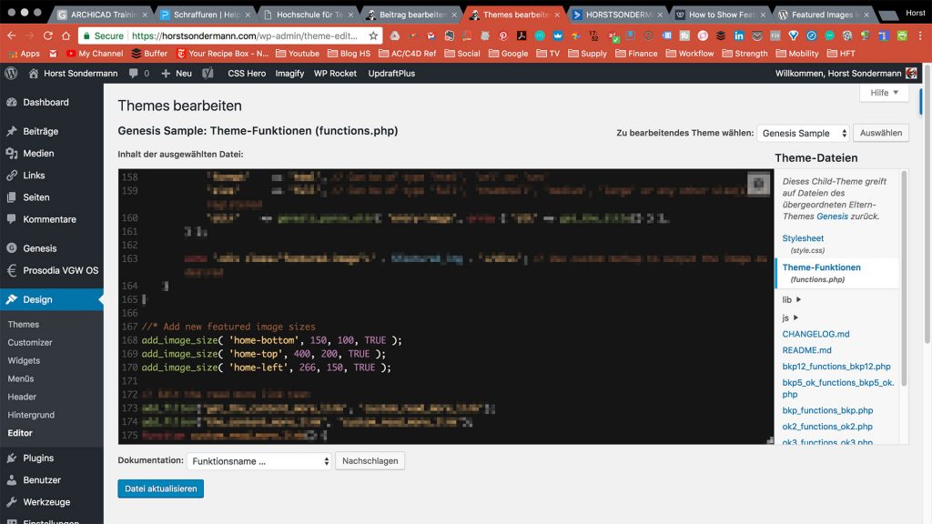 Mein Wordpress: Theme, Plugins, Code - Horst Sondermann